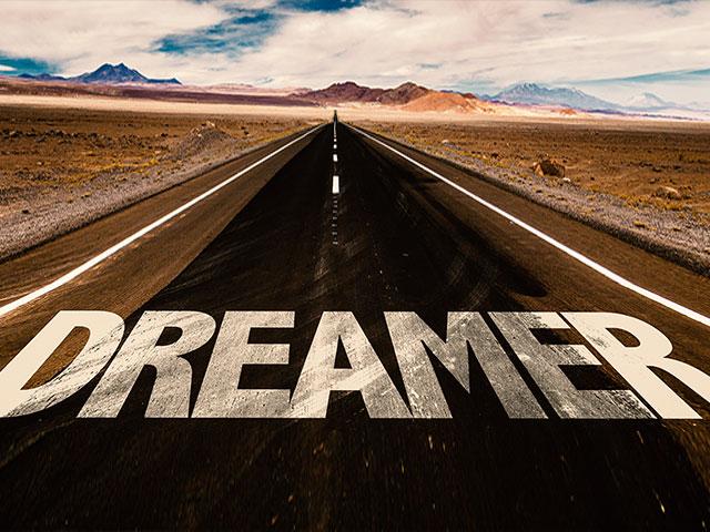 The Idealistic Dreamer: Risking Everything with No Plan B – Christopher ...