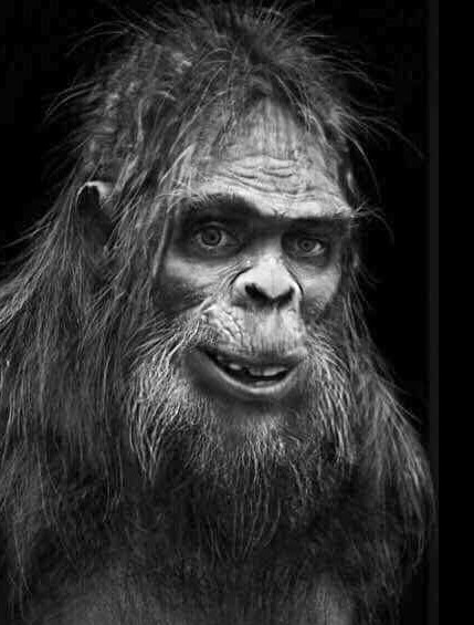 The Sasquatch Who Spoke His Mind – Christopher John Lindsay